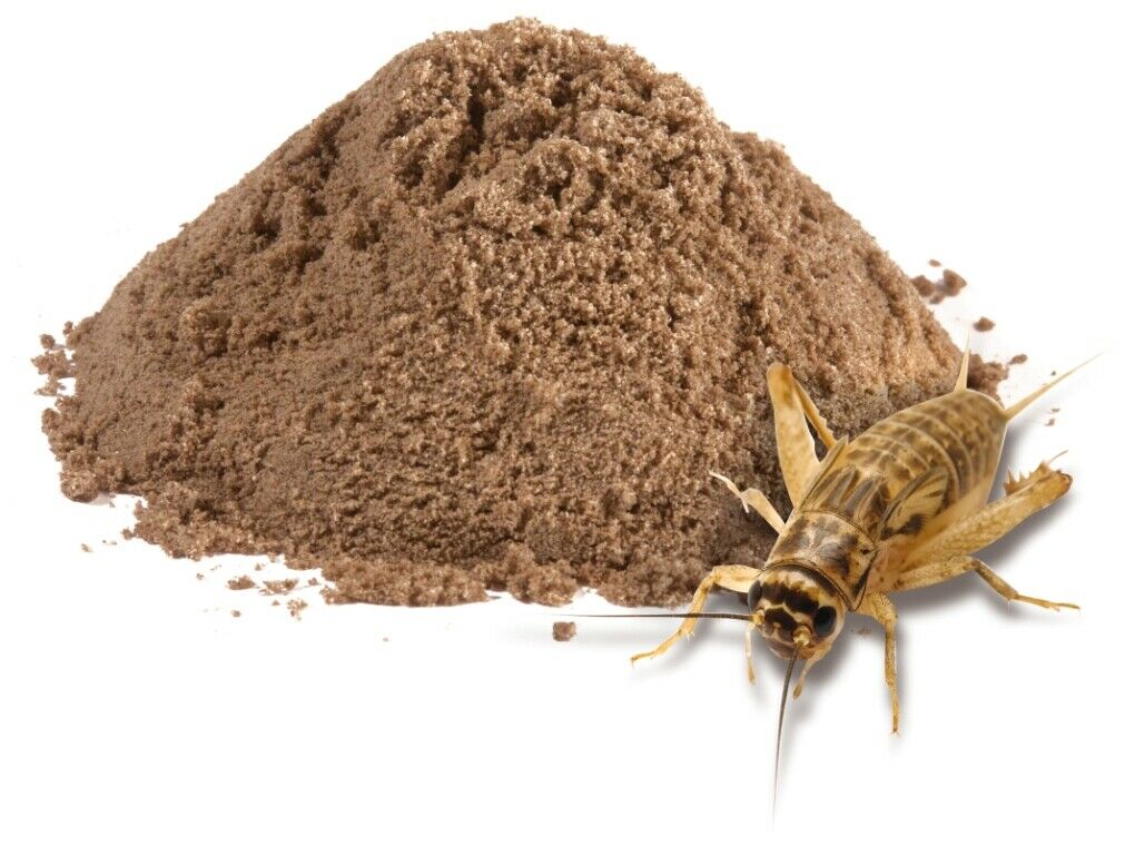 Bush Tucker - The Insect Protein Store